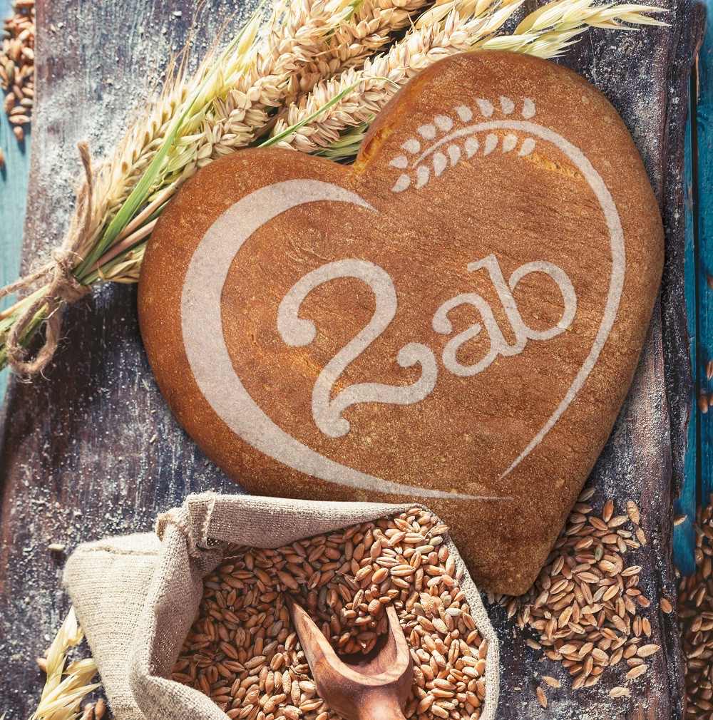 GoodMills Innovation: 2ab wheat for gut-friendly bakery products ...